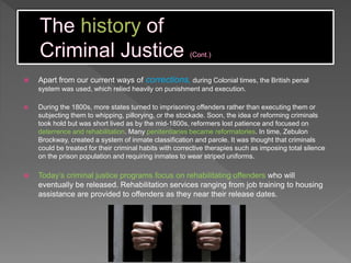 understanding Criminal justice system | PPT
