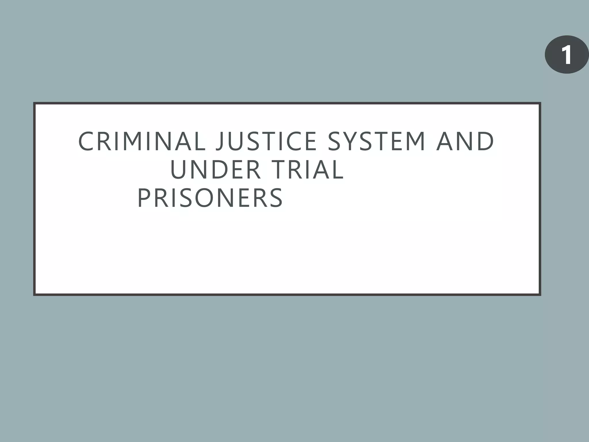 Criminal justice system | PPTX