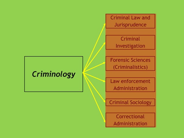 Criminological research and statistics | PPTX