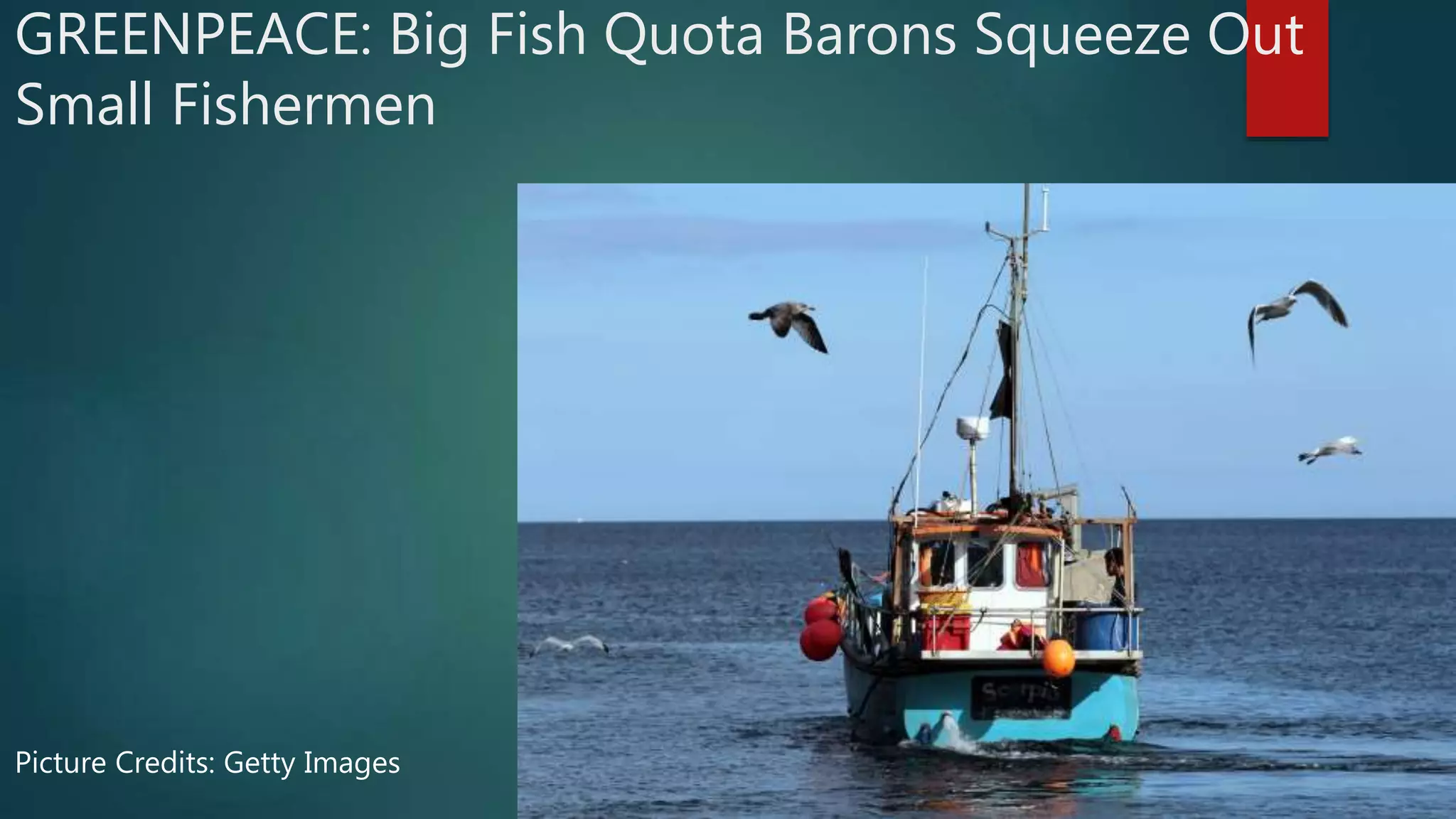 Investigating fishing quotas - Crina Boros | PPTX