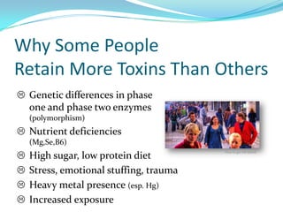 Environmental Toxicity and the Effect on Health | PPTX