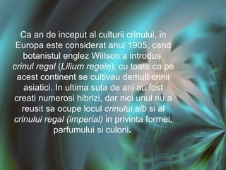 Crinul , Legenda Si Simbol | PPS