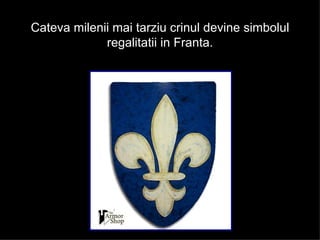 Crinul , Legenda Si Simbol | PPS