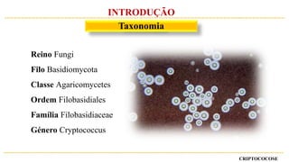 Criptococose patogenicidade | PPTX