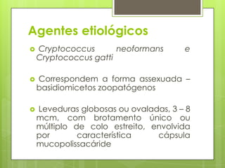 Criptococose pulmonar | PPTX