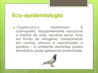 Criptococose pulmonar | PPTX