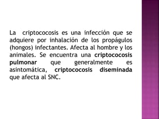 Criptococosis | PPTX