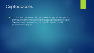 Criptococosis | PPT