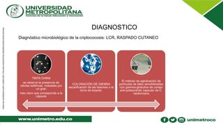 Criptococosis | PPTX