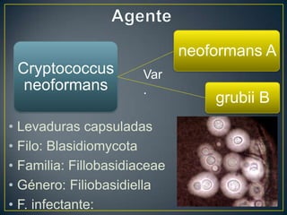 Criptococosis meníngea | PPTX