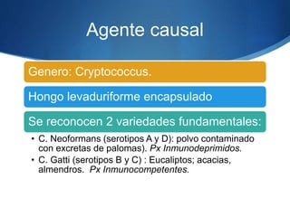 Criptococosis - VIH | PPTX
