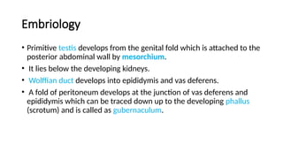 CRIPTORCHIDISM.pptx in gynecology and ob | PPTX
