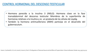 Criptorquidia y micropene | PPTX