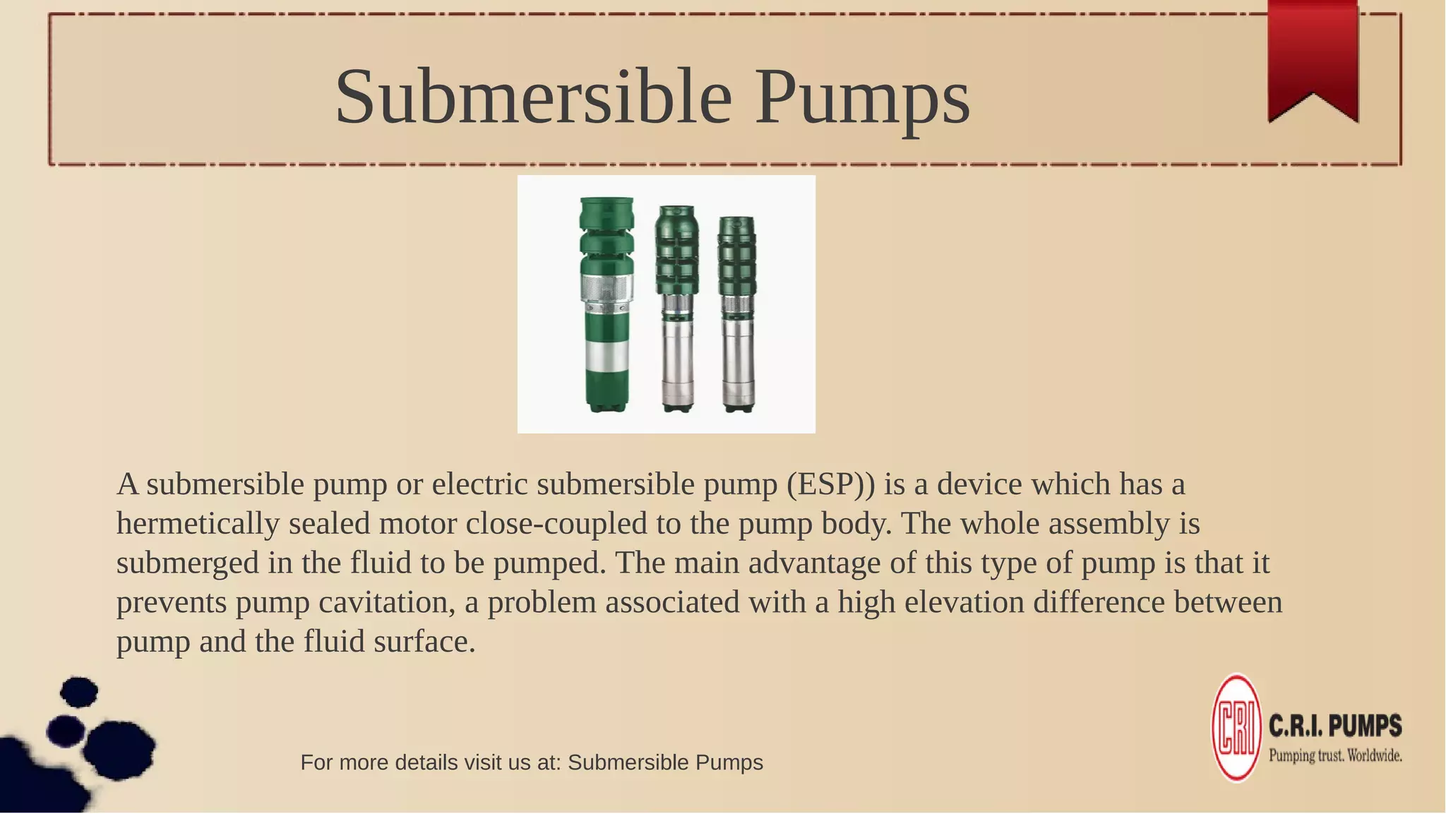 Cri Groups - Pumps Manufacturers | PPT