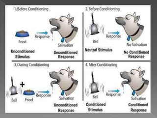classical conditioning by ivan pavlov | PPTX
