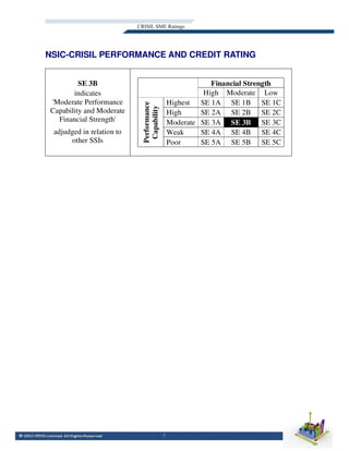 Crisil rating report | PDF