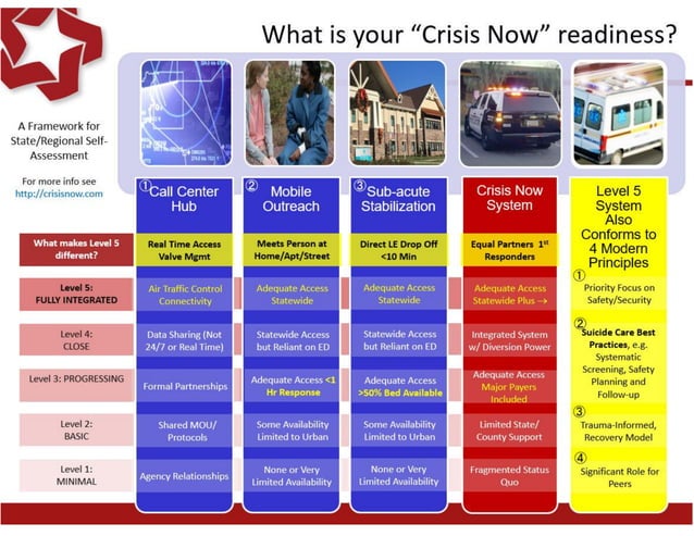 Crisis Now Assessment Framework | PDF