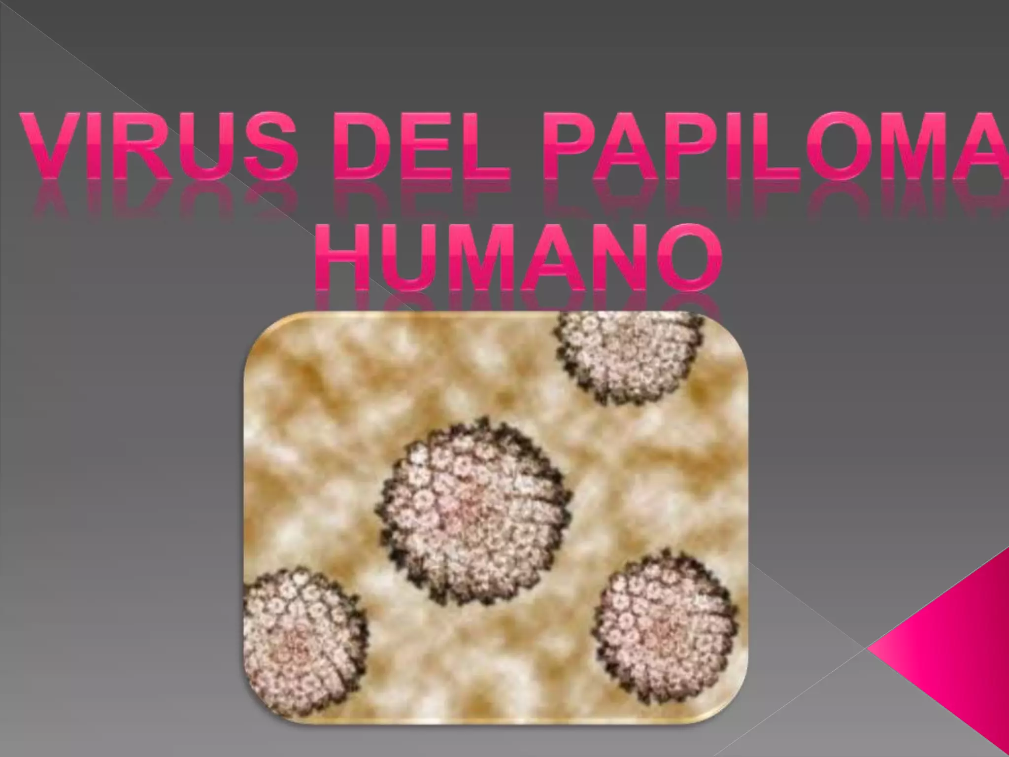 virus papiloma humano | PPTX