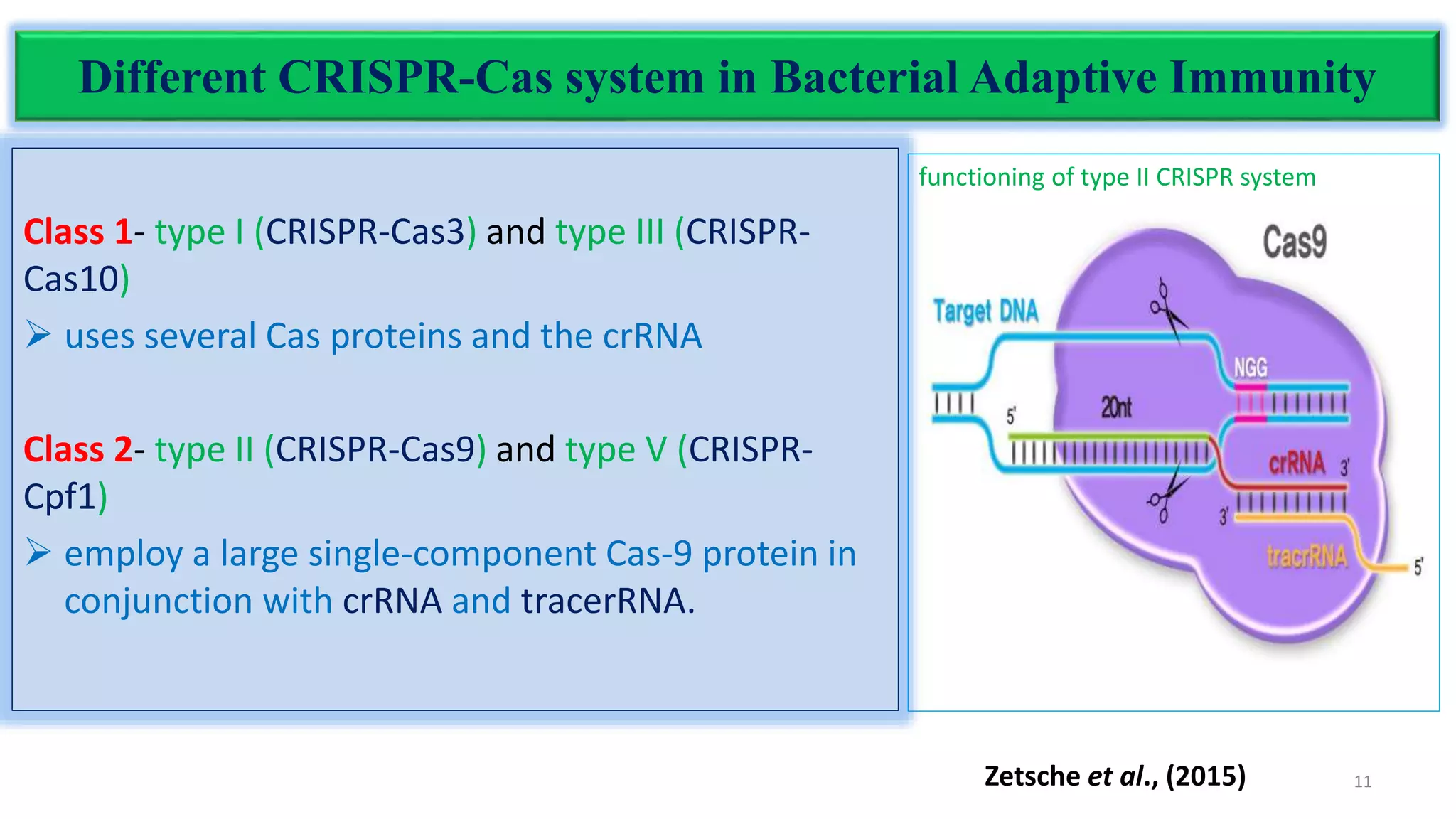 Crisper Cas system | PPTX