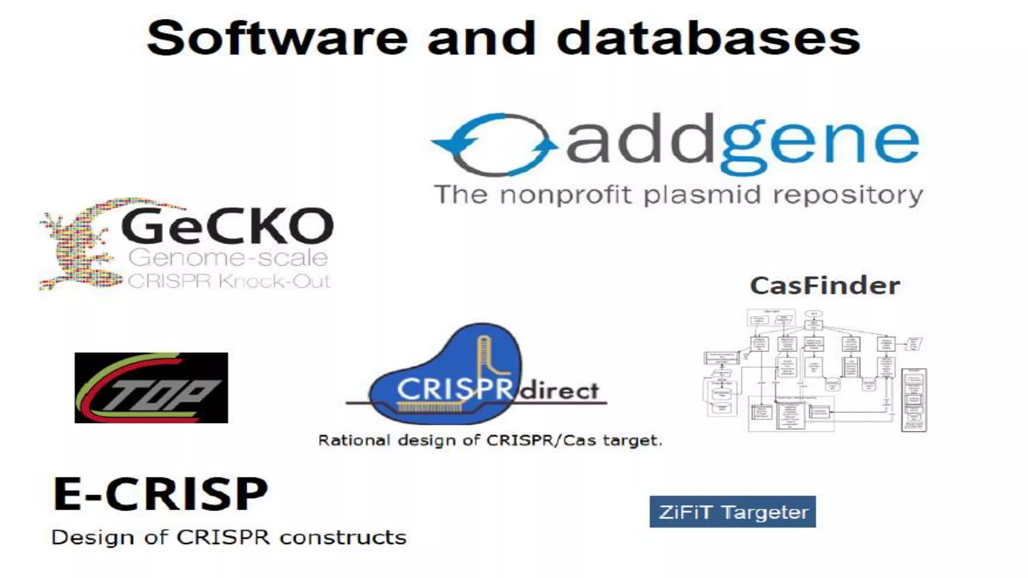 Crisper Cas system | PPTX