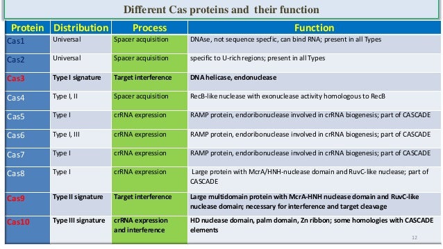 Crisper Cas system