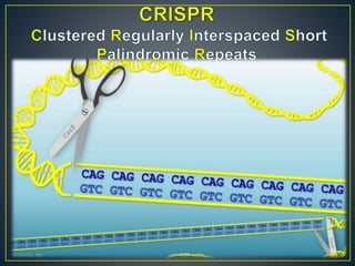 Crisper | PPTX
