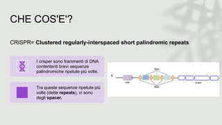 Crisper cas9 | PPTX | Infectious Diseases | Diseases and Conditions