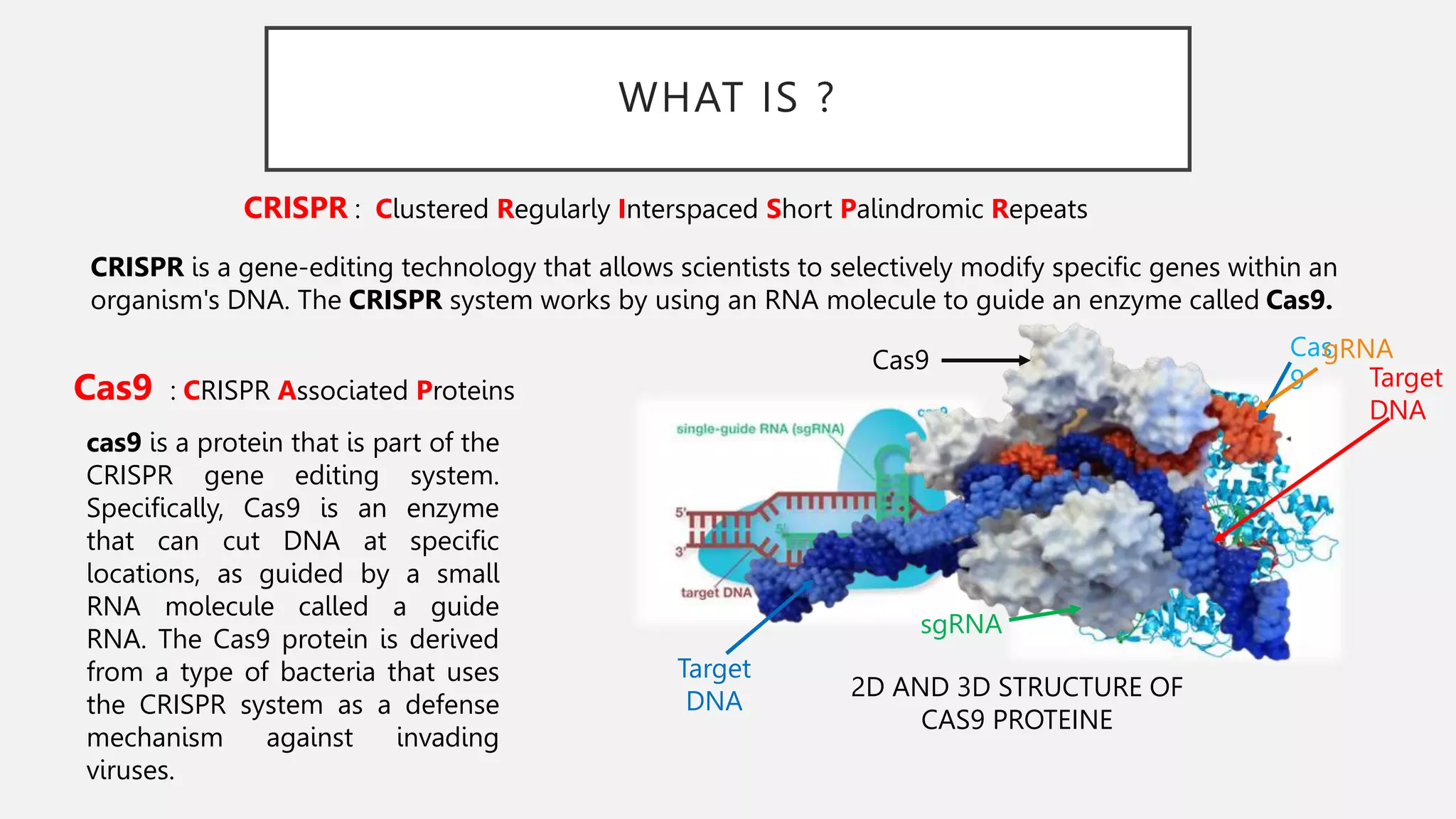 genome editing technique CRISPR-Cas9 - Copy.pptx