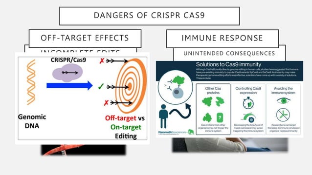 genome editing technique CRISPR-Cas9 - Copy.pptx | Biotech and ...