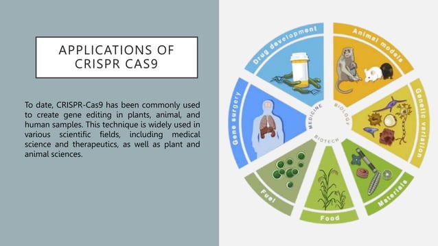 genome editing technique CRISPR-Cas9 - Copy.pptx | Biotech and ...