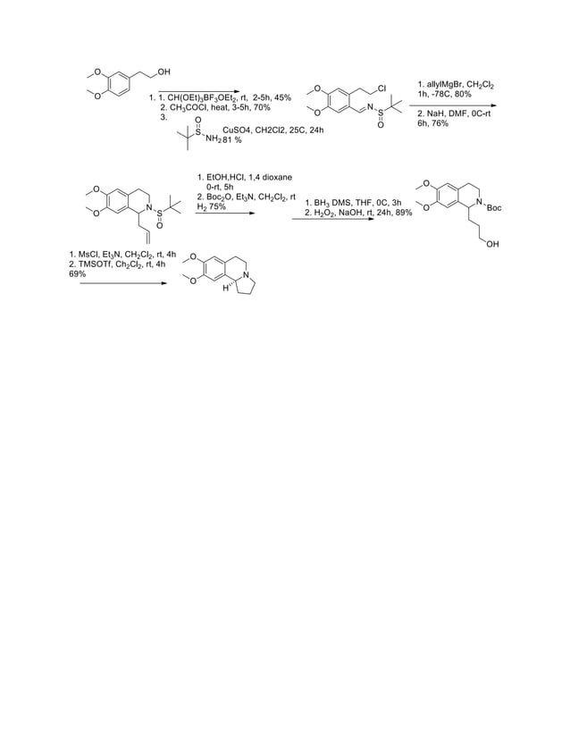 Crispine- 12 paths to travel | PDF