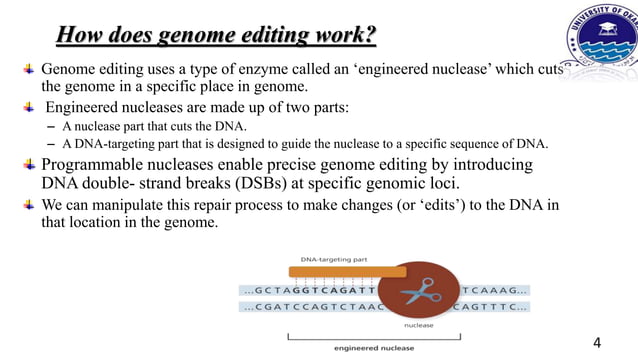Genome Editing Techniques by Kainat Ramzan | PPTX