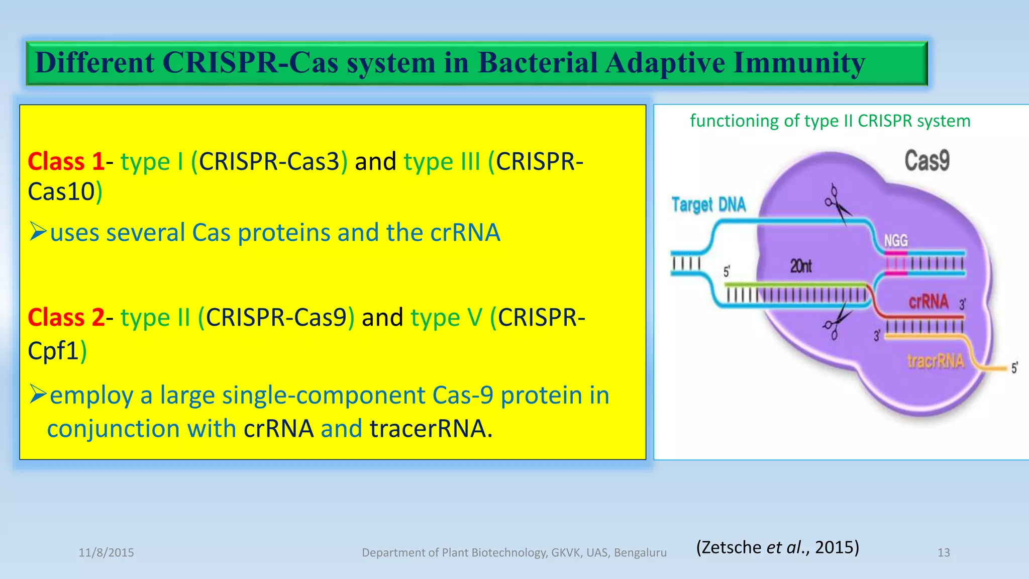 Crispr | PPTX
