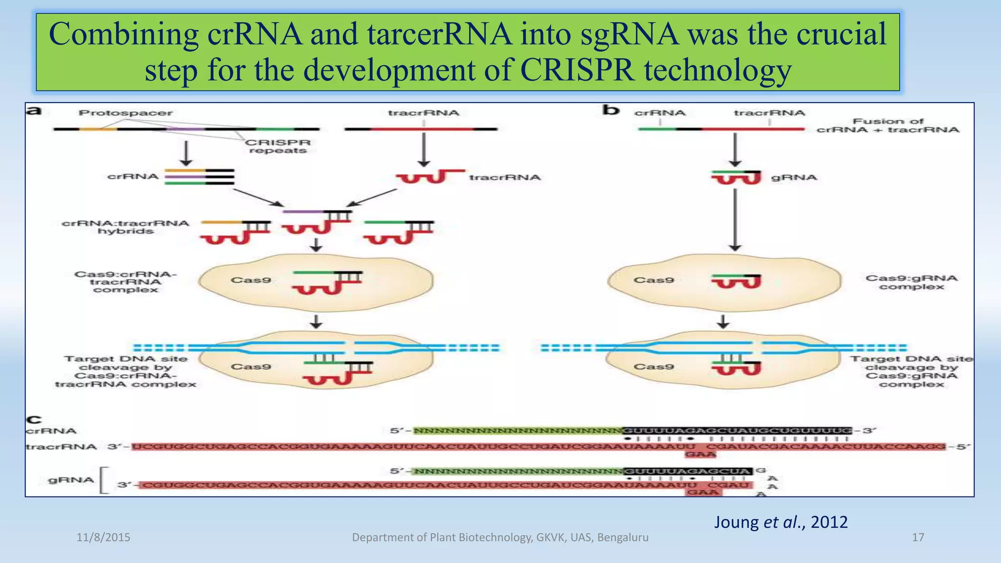 Crispr | PPTX