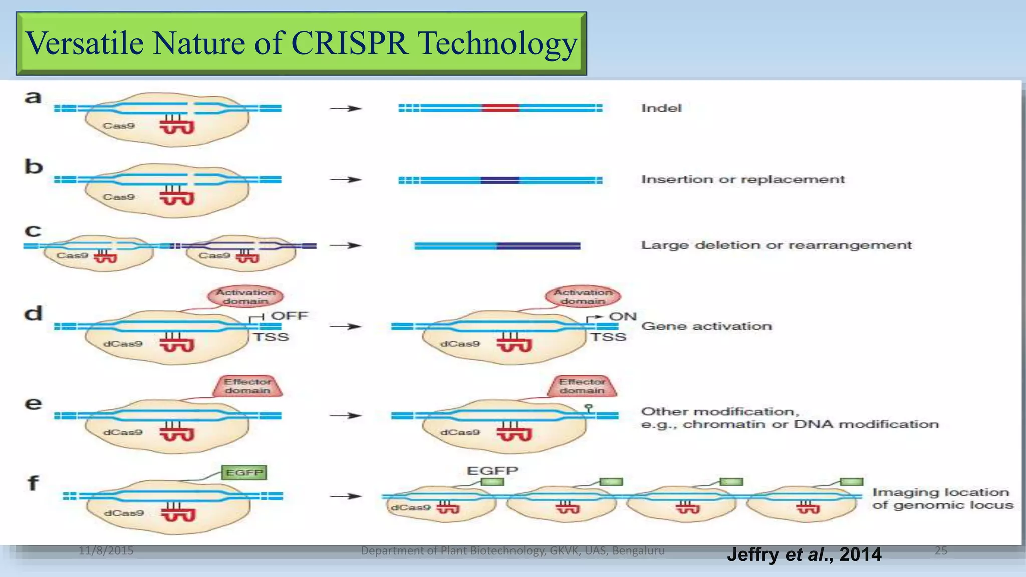 Crispr | PPTX