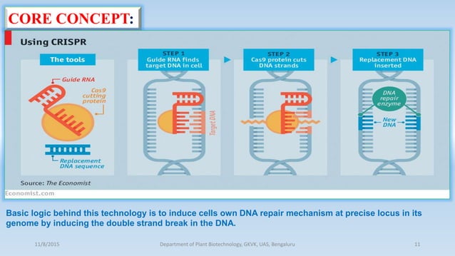 Crispr | PPTX