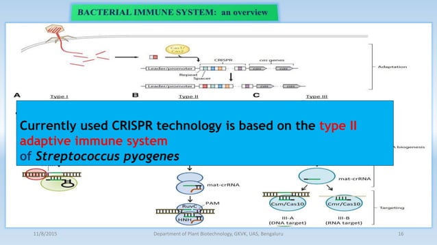 Crispr | PPTX