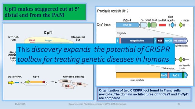 Crispr | PPTX