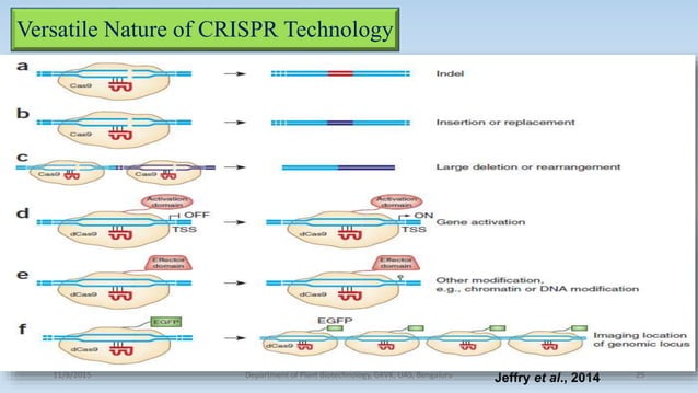 Crispr | PPTX
