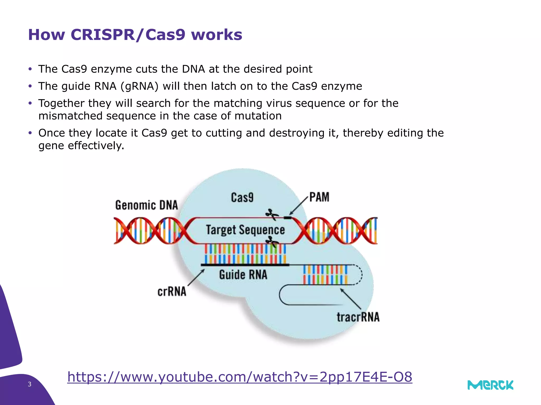 CRISPR/Cas9 | PPTX