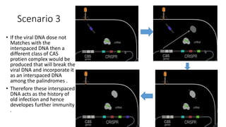 Crispr | PPTX