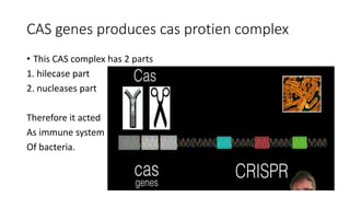 Crispr | PPTX
