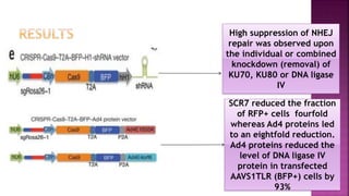 Increasing the efficiency of homology-directed repair for crispr-cas9 ...