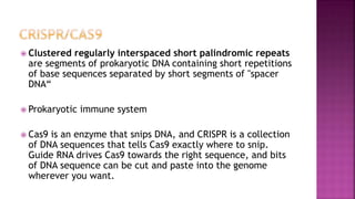 Increasing the efficiency of homology-directed repair for crispr-cas9 ...
