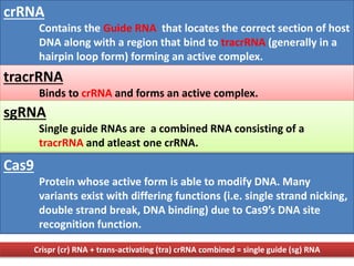 Crispr | PPTX
