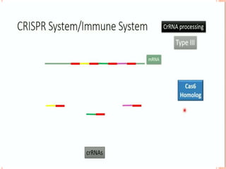 Crispr/Cas9 | PPT