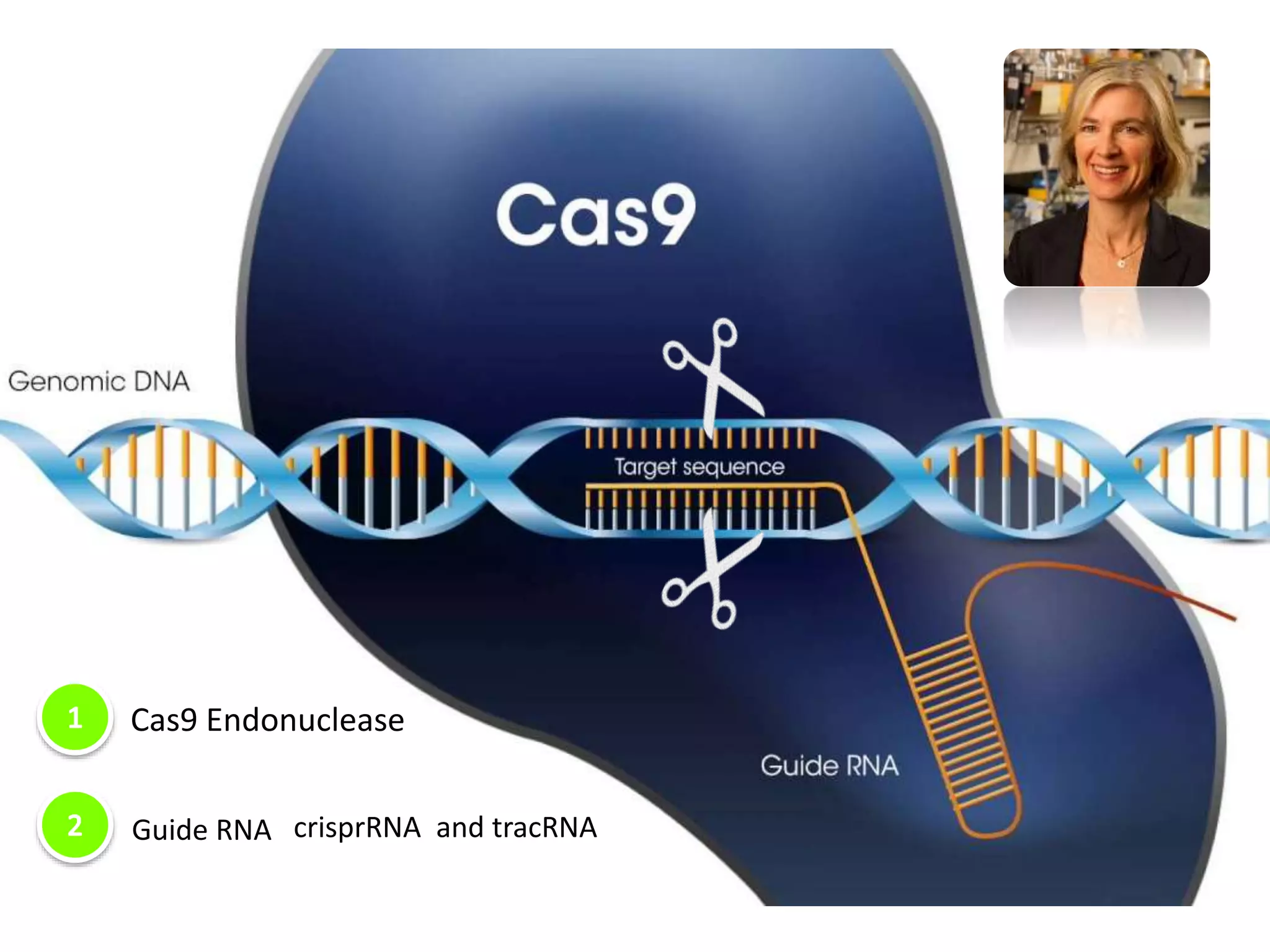 CRISPR/cas9 | PPT