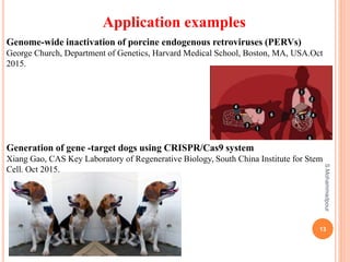 Crispr | PPSX