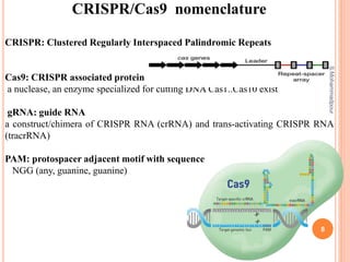Crispr | PPSX