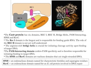 Crispr | PPT